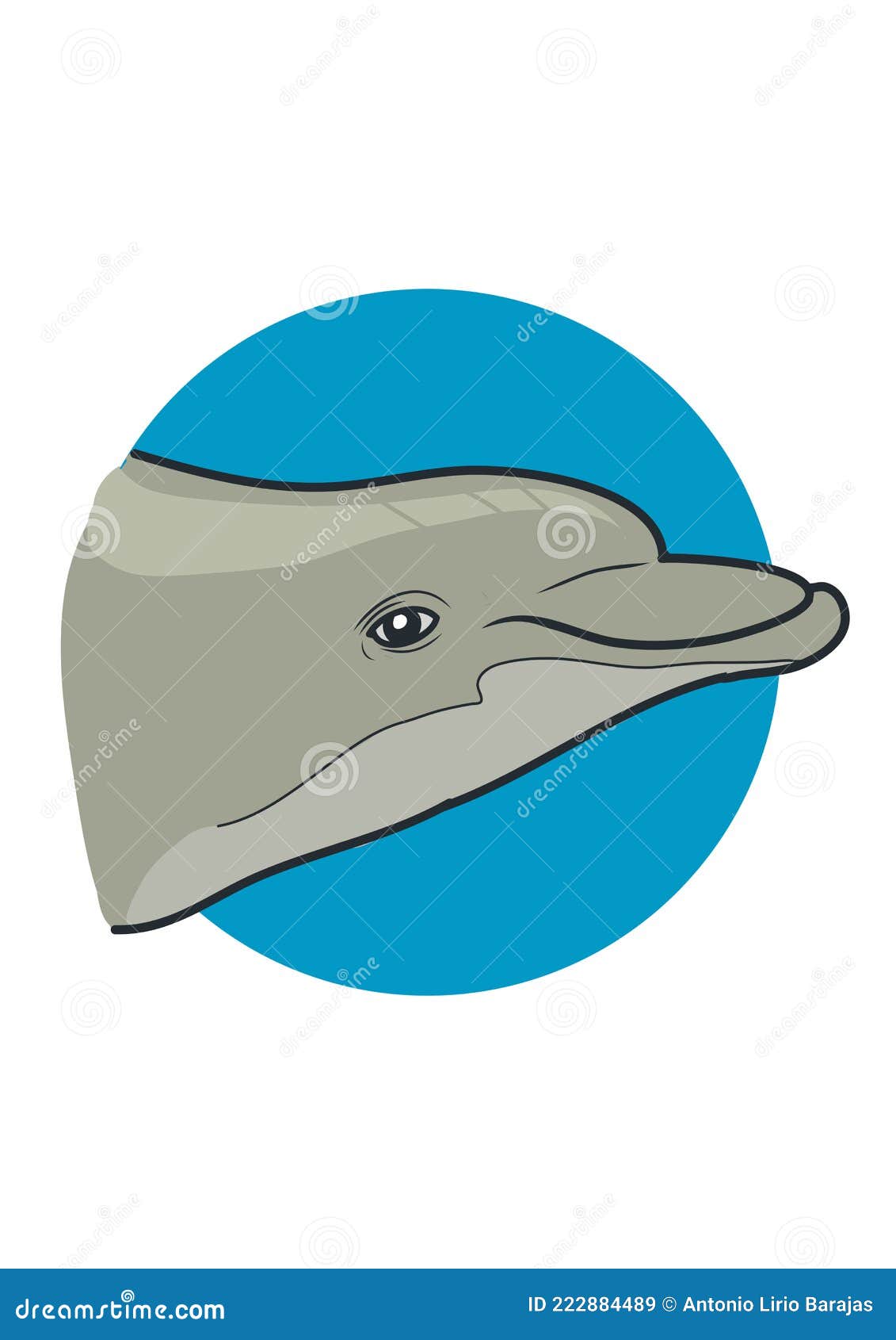 Dolphin Head Was Designed In A Cathedral In Limoges, Vintage Engraving ...