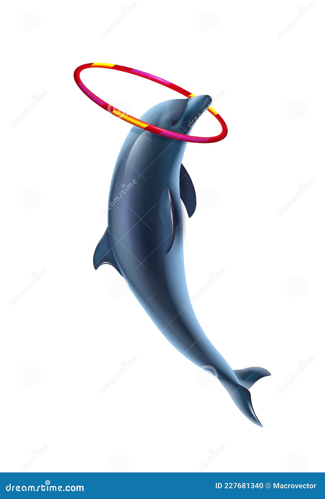 Dolphin and Hoop Composition Stock Vector - Illustration of trick ...