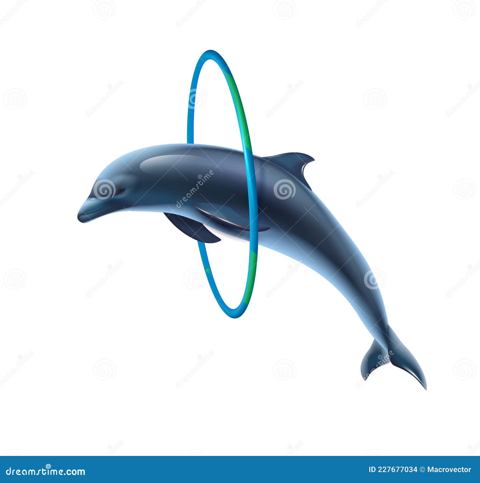 Dolphin Hoop Jump Composition Stock Vector - Illustration of fish ...