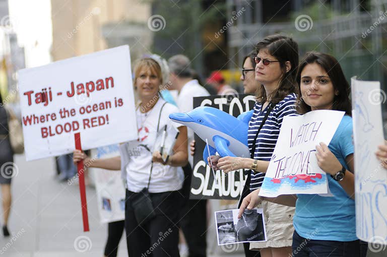 Dolphin hunting protest. editorial photo. Image of gathering - 26393051
