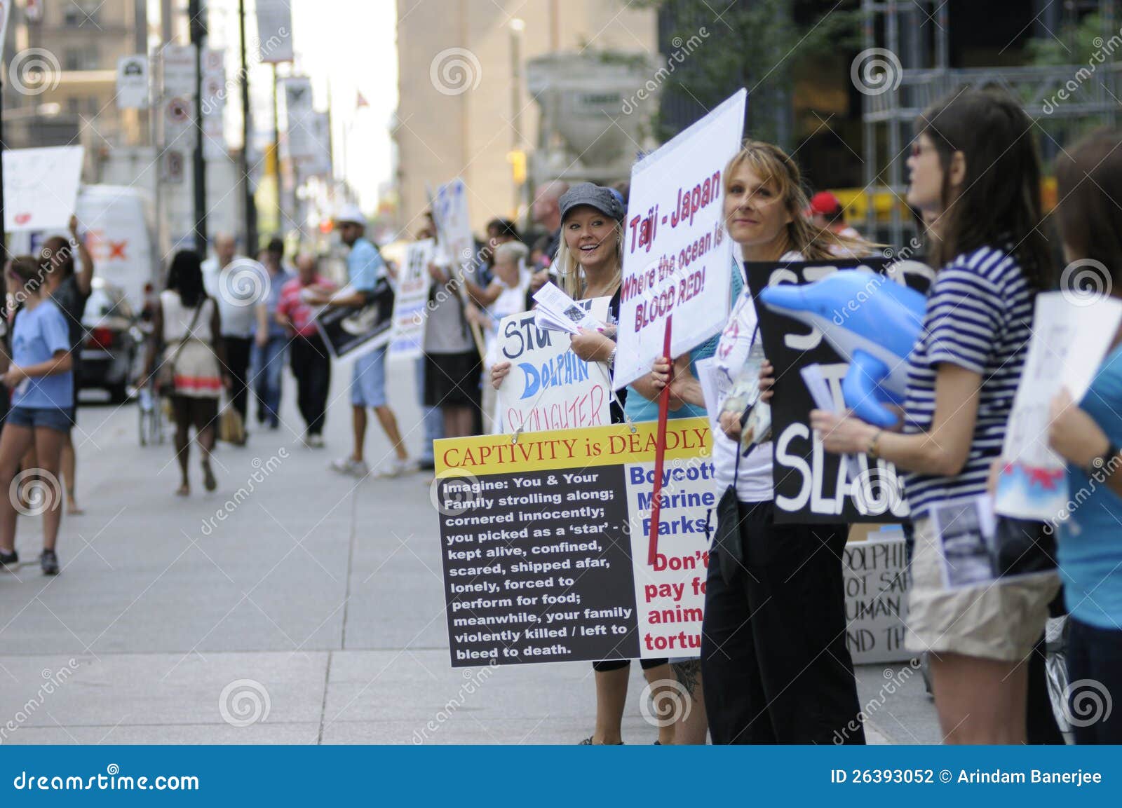 Dolphin hunting protest. editorial photography. Image of ignorance ...