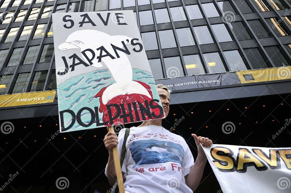 Dolphin hunting protest. editorial photography. Image of crowd - 26393117