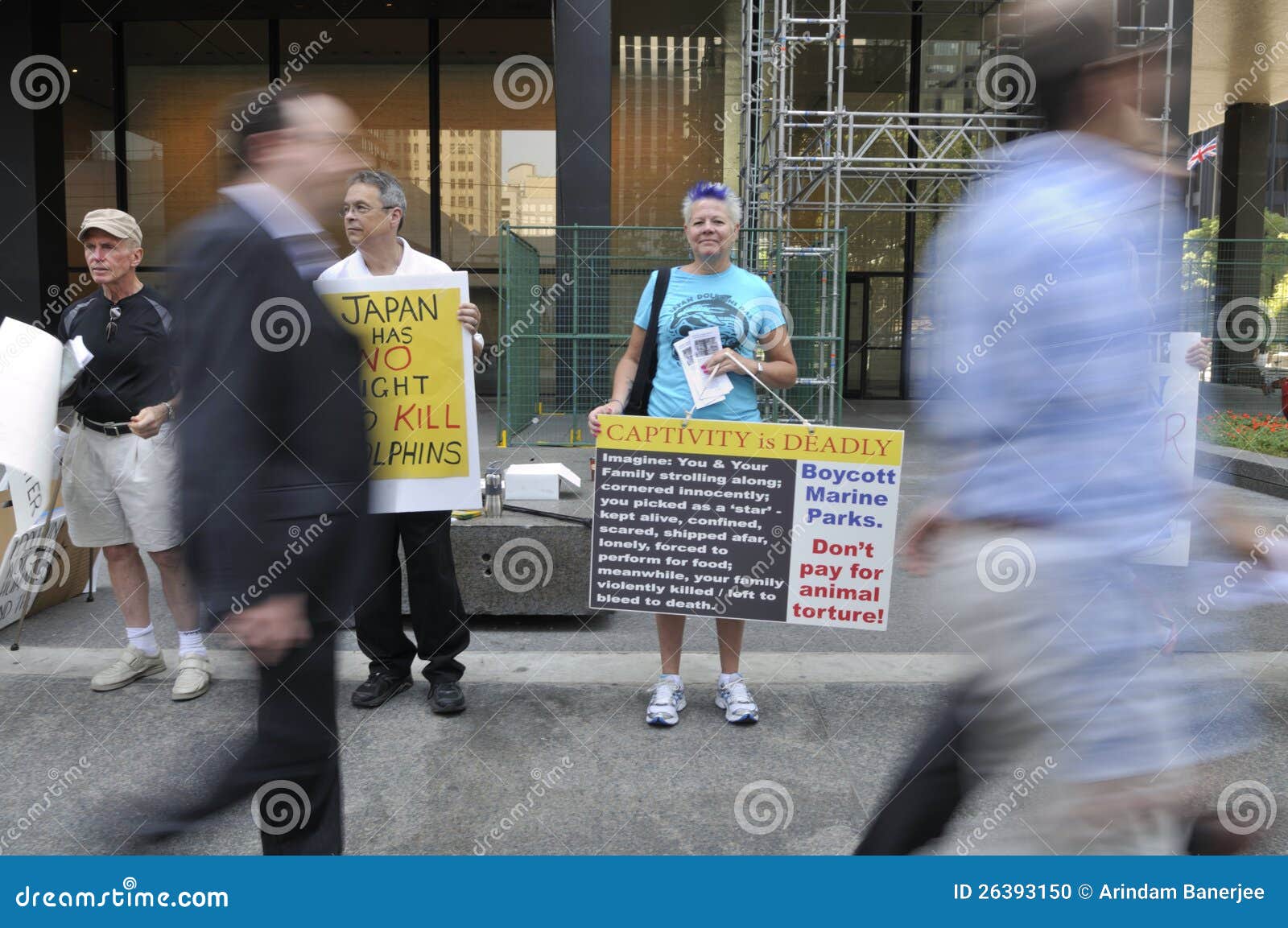 Dolphin hunting protest. editorial image. Image of city - 26393150