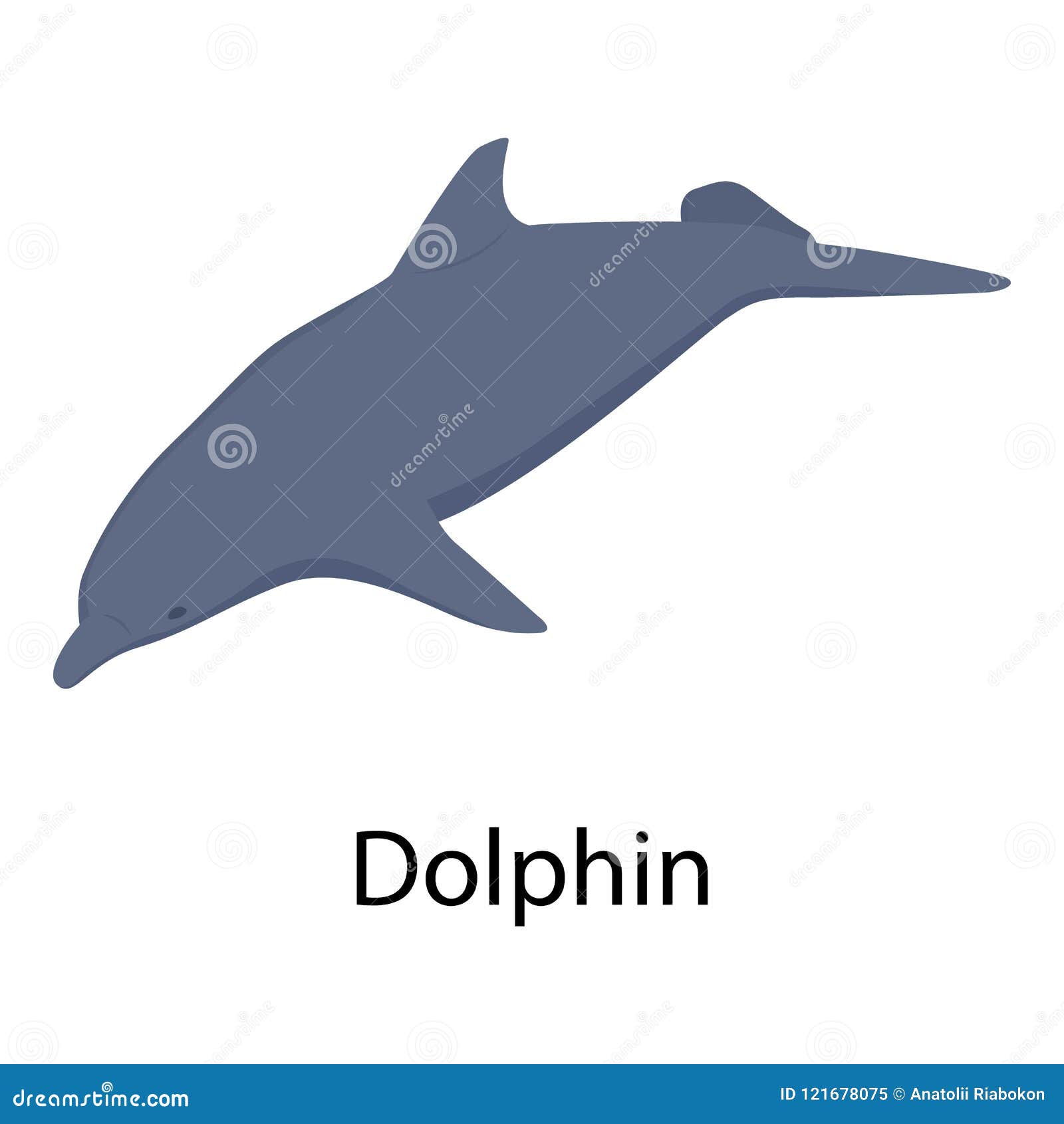 Dolphin Icon, Isometric Style Stock Vector - Illustration of design ...