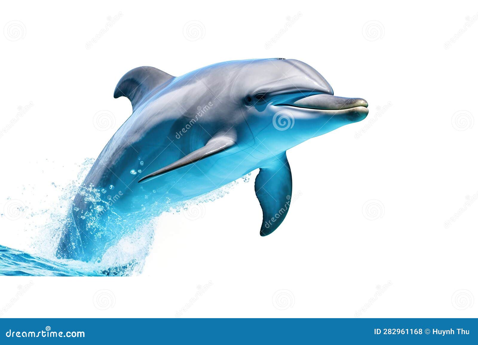 Dolphin Isolated White Background Stock Illustration - Illustration of ...