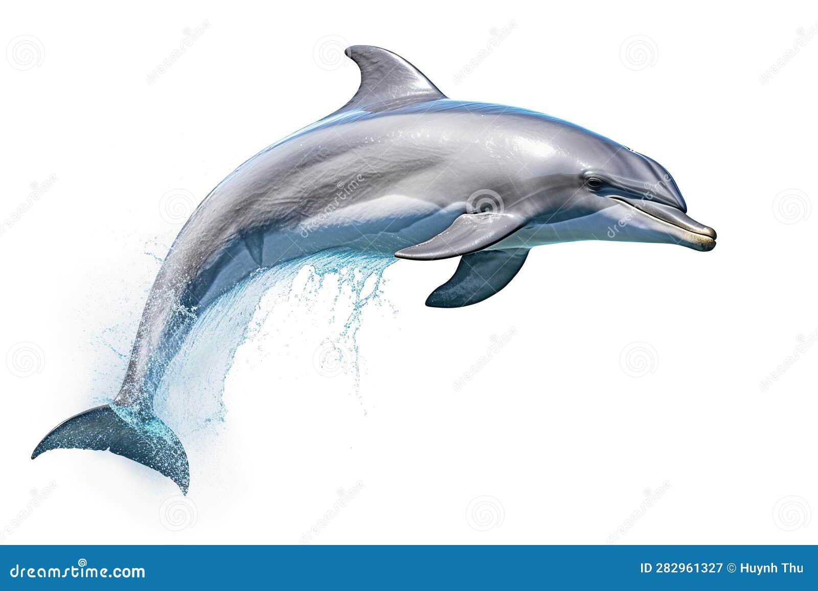 Dolphin Isolated White Background Stock Illustration - Illustration of ...