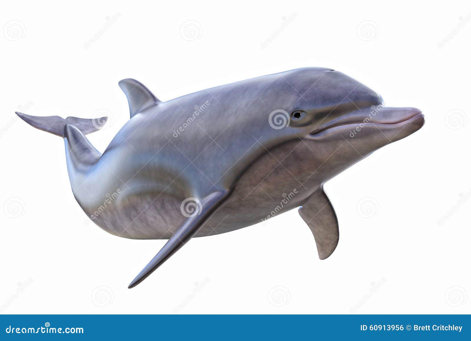 Dolphin Royalty-Free Stock Photography | CartoonDealer.com #9413201