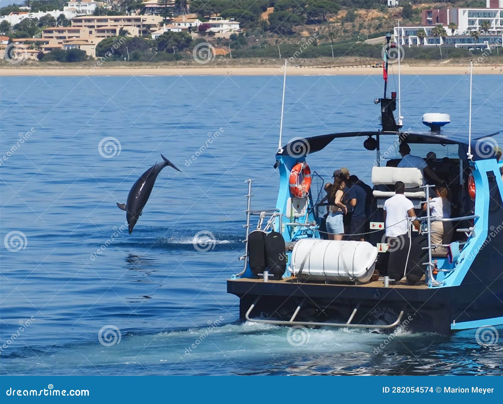 Jumping Dolphin beside a Boat Editorial Stock Image - Image of deep ...