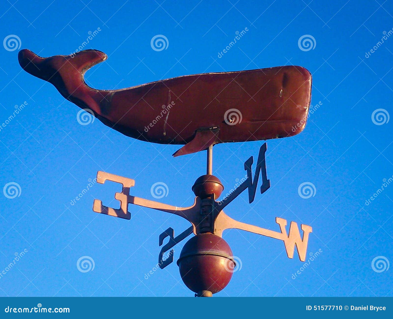 Dolphin Navigation Compass stock photo. Image of hand - 51577710