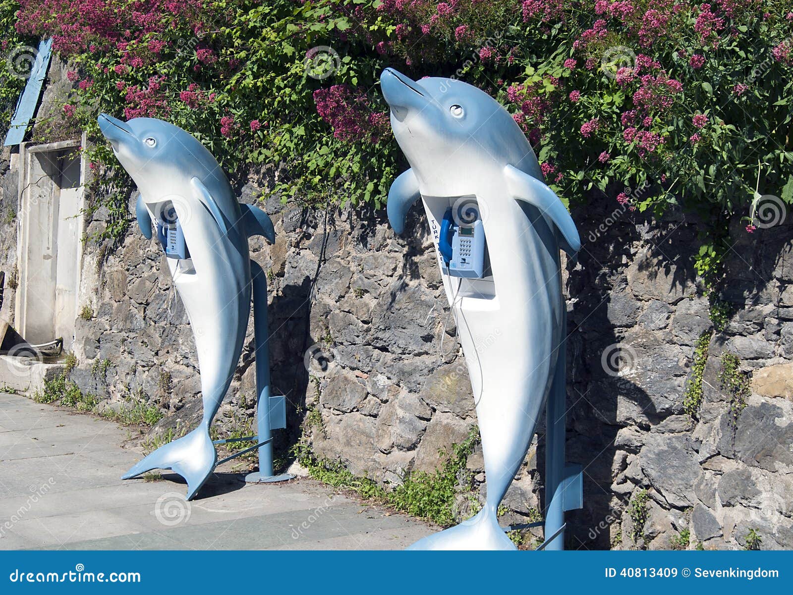 Dolphin phone stock image. Image of household, directory - 40813409