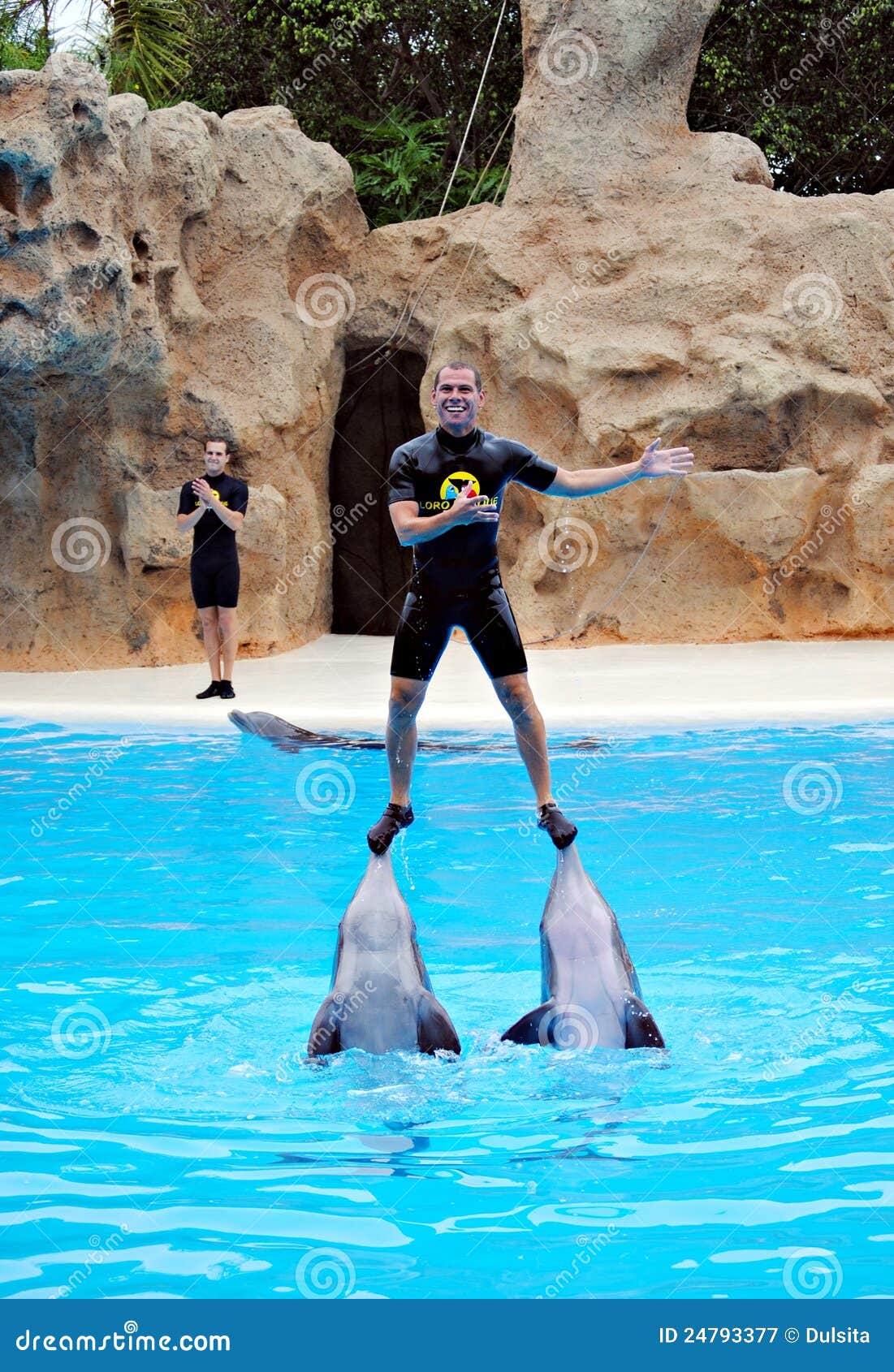 Dolphin Playing with People Editorial Photography - Image of nature ...