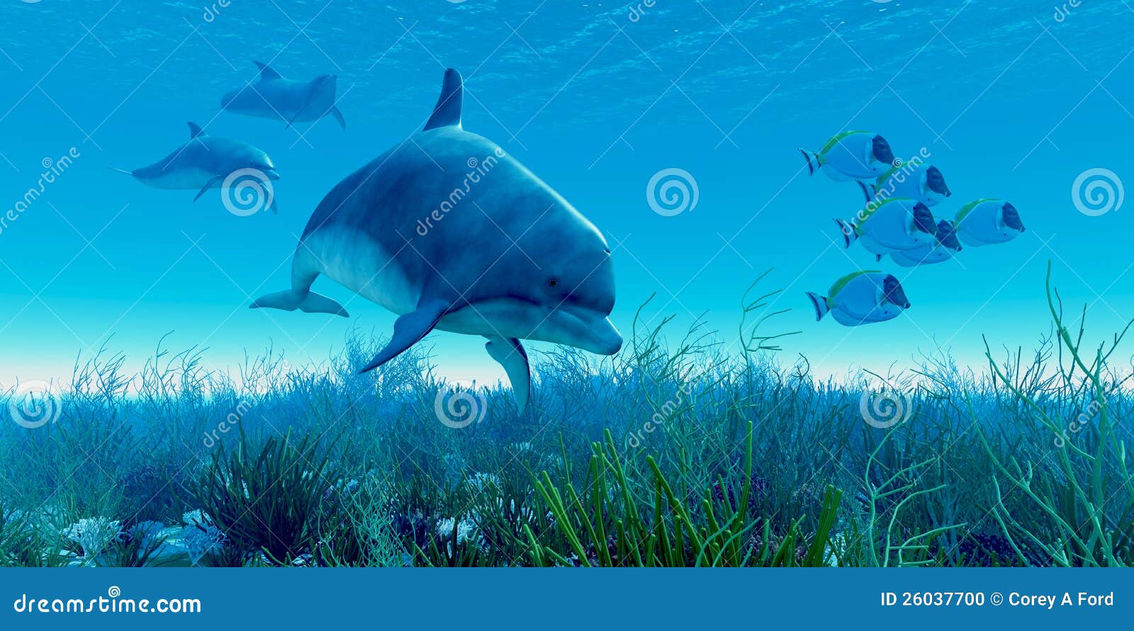 Dolphin Pod stock illustration. Illustration of beautiful - 26037700