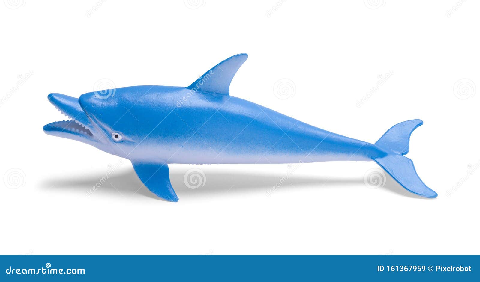 Dolphin Side View stock image. Image of blue, white - 161367959