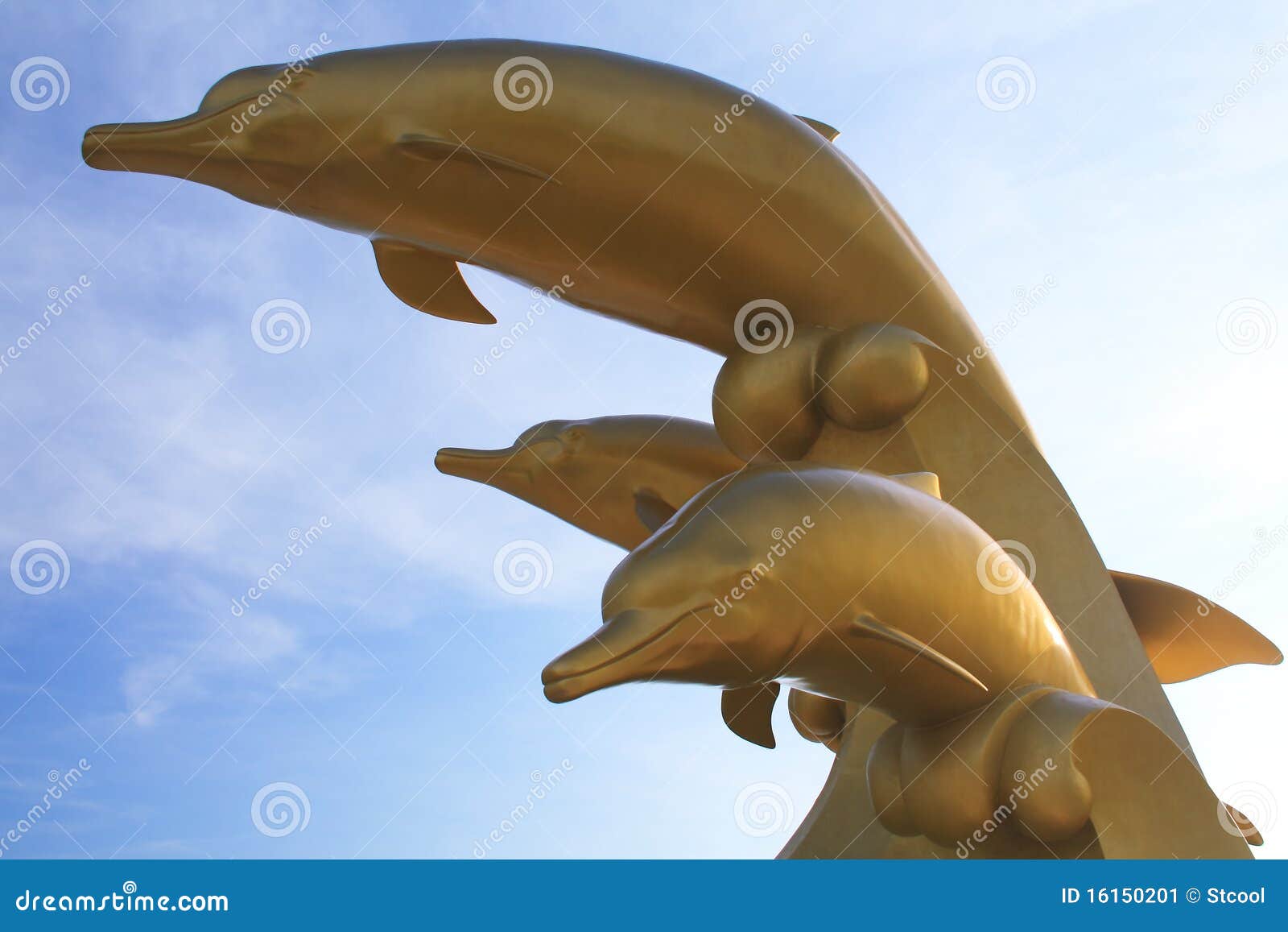 Dolphin in the Sky stock image. Image of fish, ocean - 16150201
