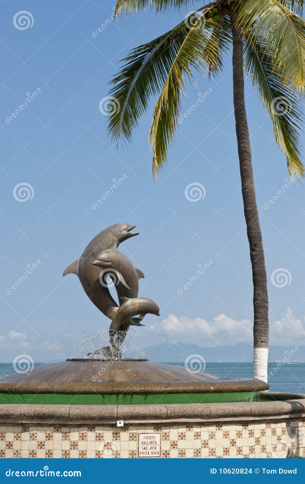 Dolphin Statue and Palm Tree Stock Photo - Image of playing, blue: 10620824