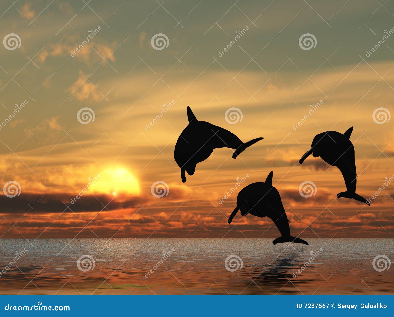Pics Of Sunsets With Dolphins