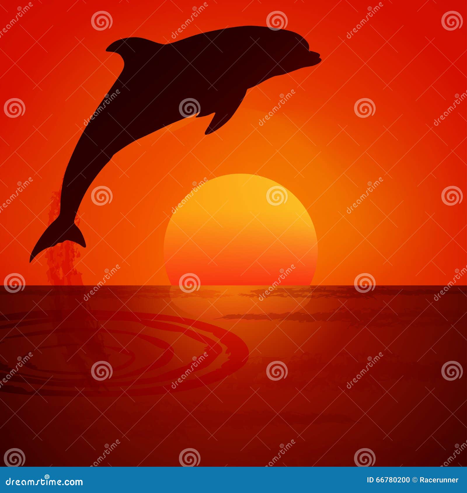 Dolphin Sunset Cartoon Vector | CartoonDealer.com #7011497