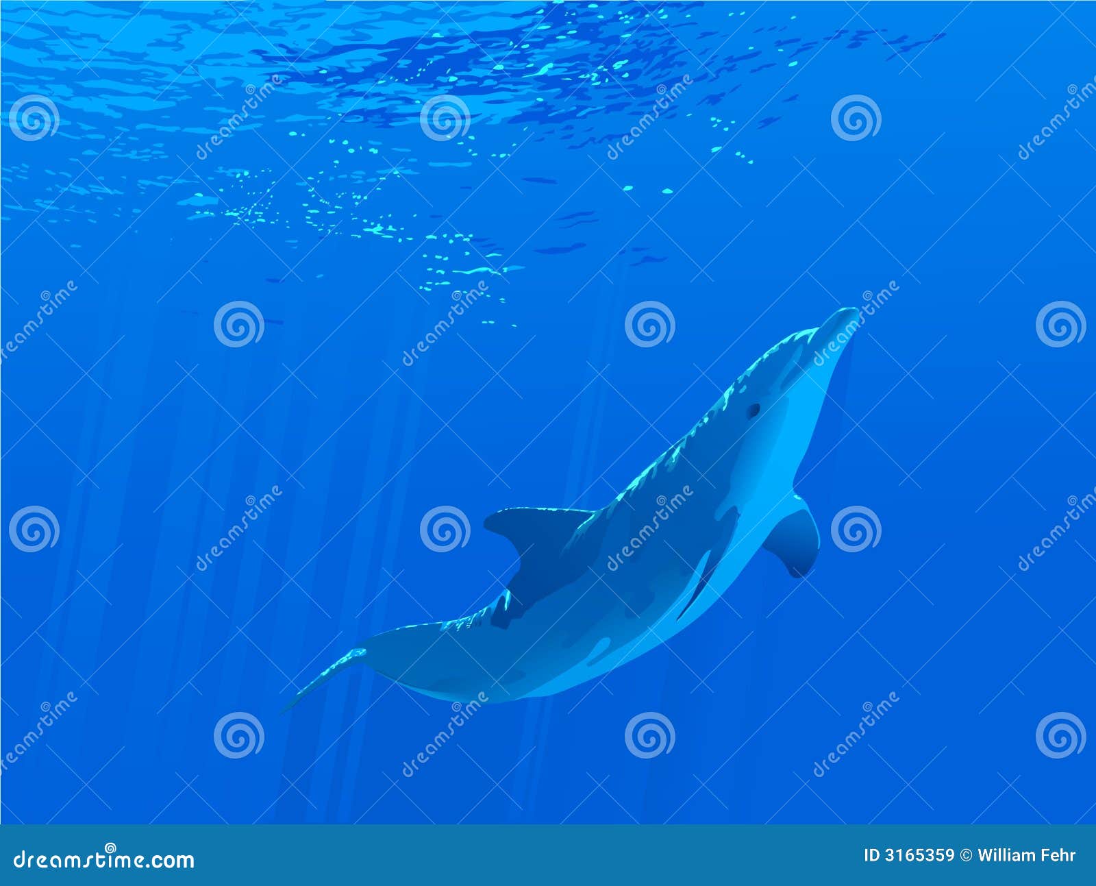 Dolphin Swim stock vector. Illustration of dolphin, mammal - 3165359