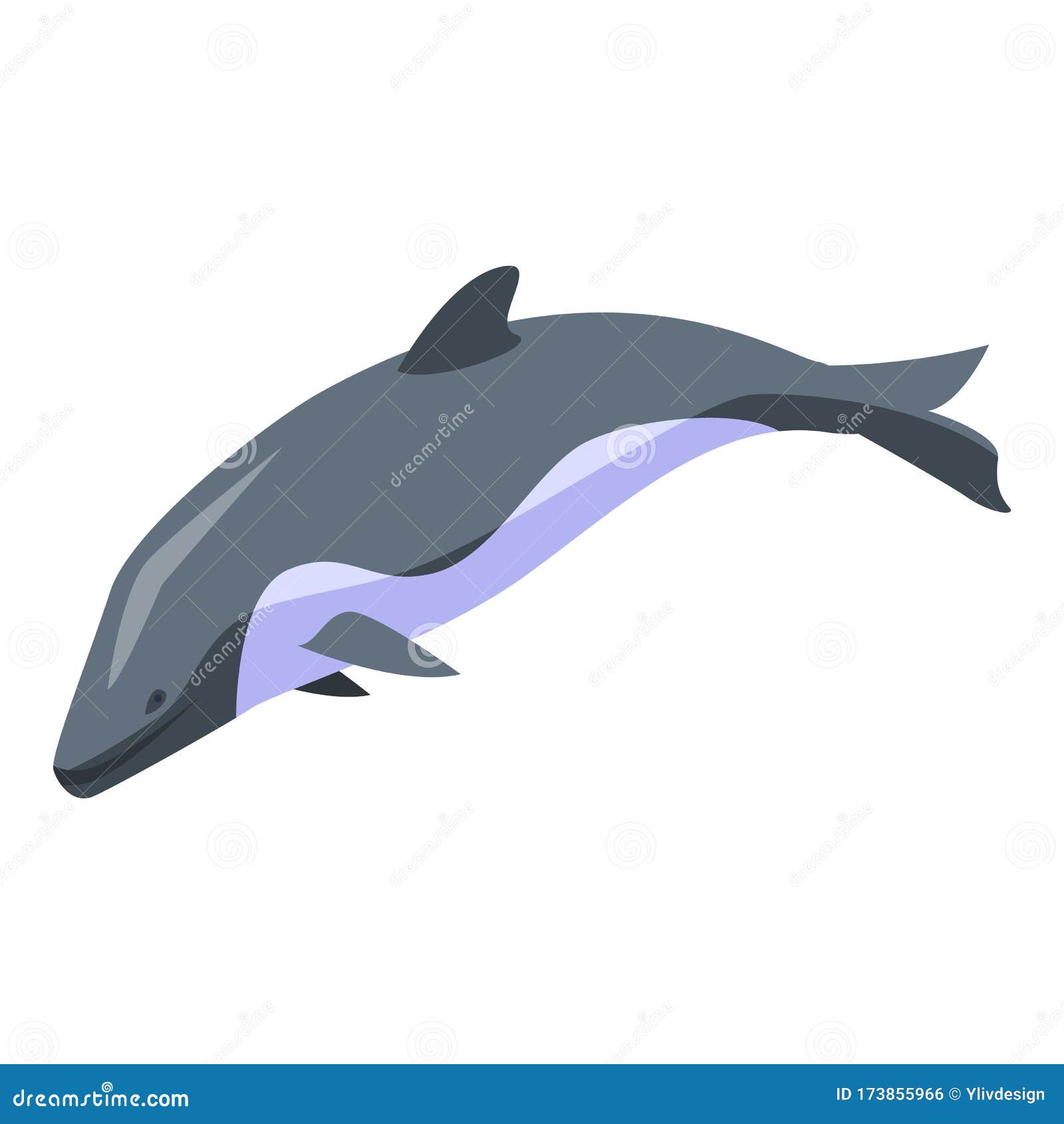 Dolphin Swim Icon, Isometric Style Stock Vector - Illustration of ...