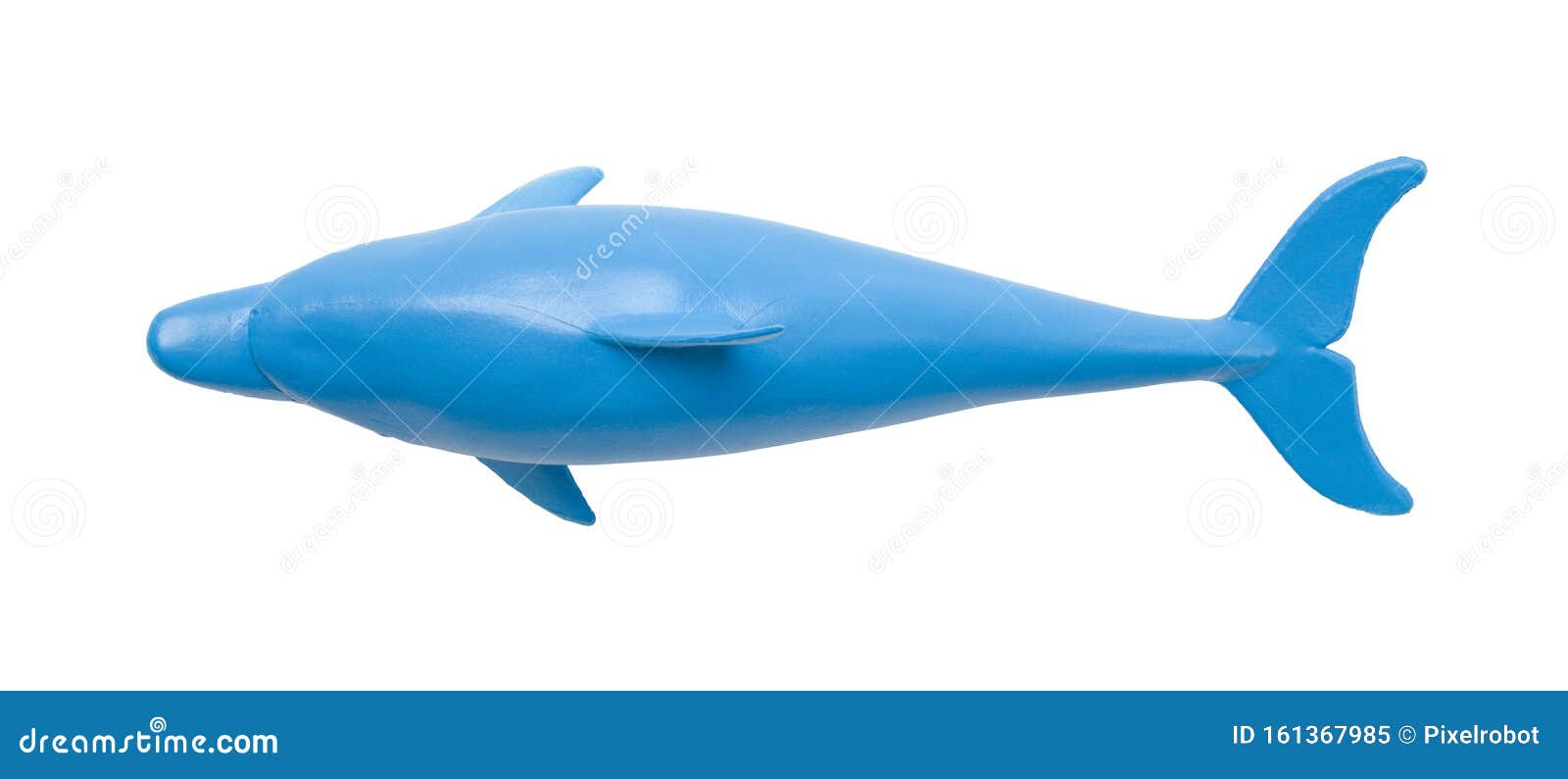Dolphin Top View stock image. Image of childs, mammal - 161367985