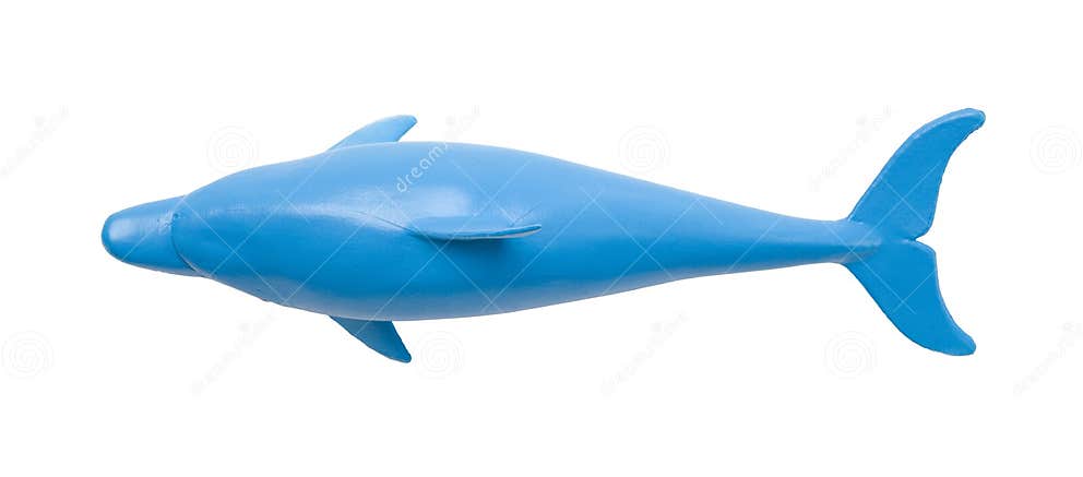 Dolphin Top View stock image. Image of childs, mammal - 161367985