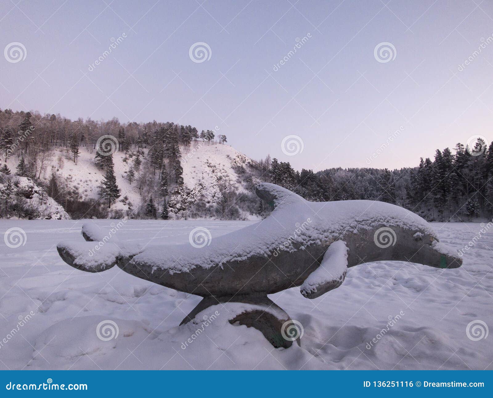 Dolphin Under Snow on Winter Lake Stock Photo - Image of cheerful ...