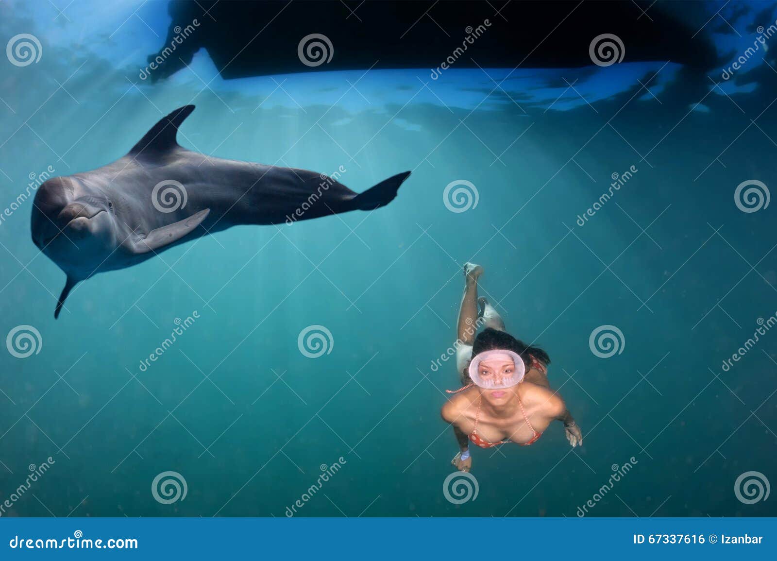 Dolphin Underwater Meets a Latina Diver Stock Photo - Image of water ...