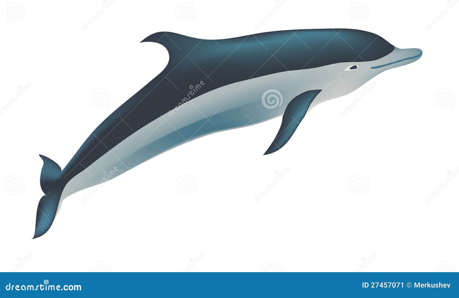 Dolphin, Vector Illustration Stock Vector - Illustration of porpoise ...