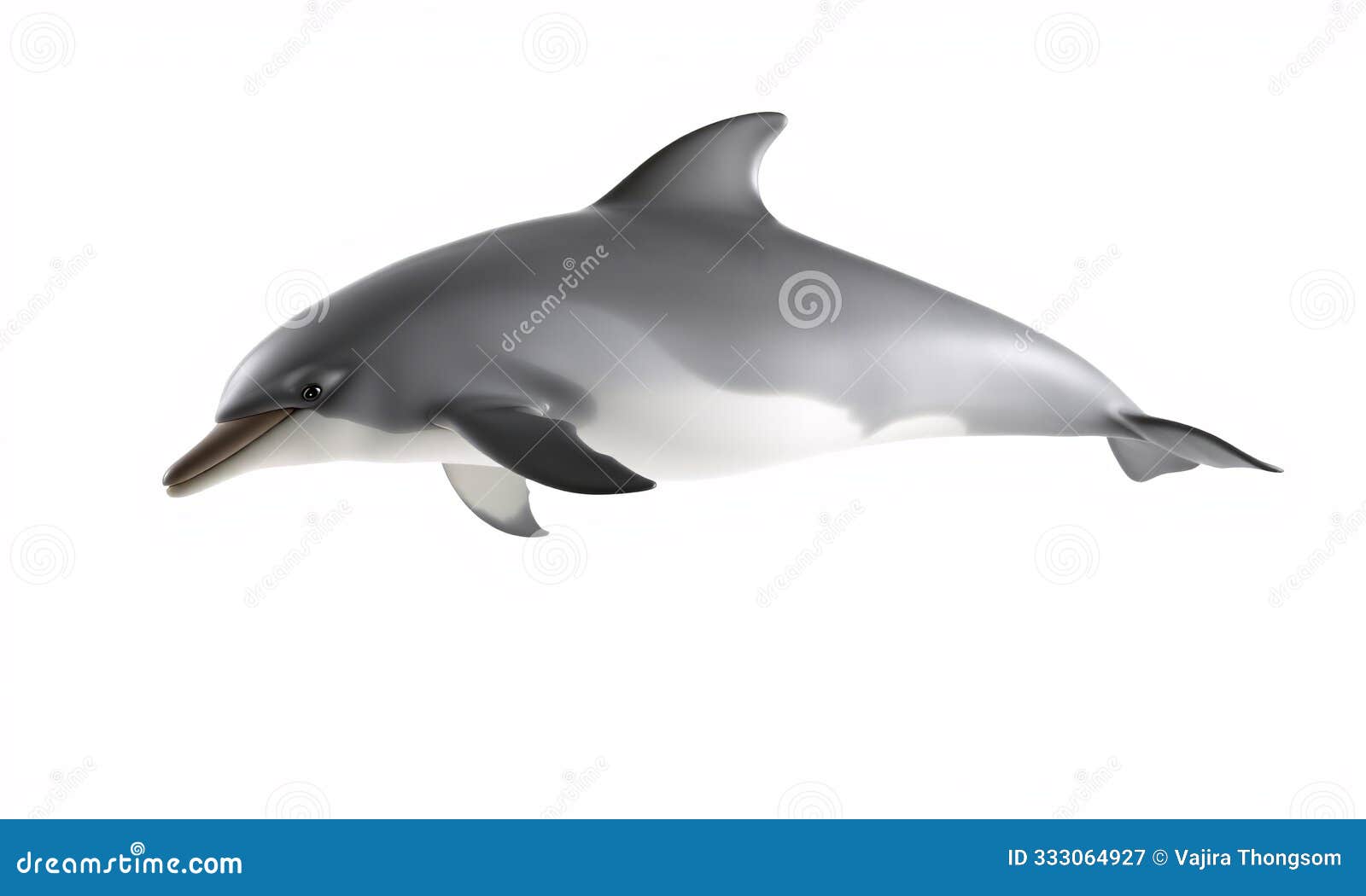 Dolphin on a White Background Stock Illustration - Illustration of ...