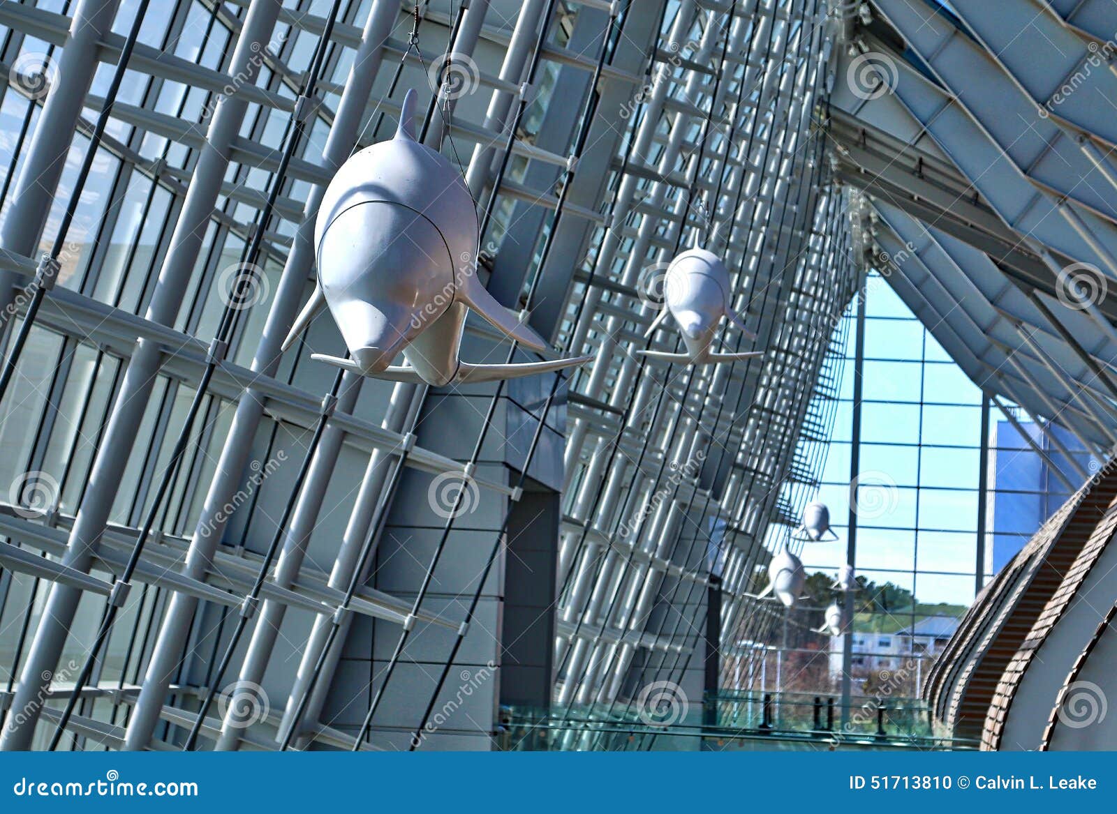 Dolphins Inside the Virginia Beach Convention and Conference Center ...