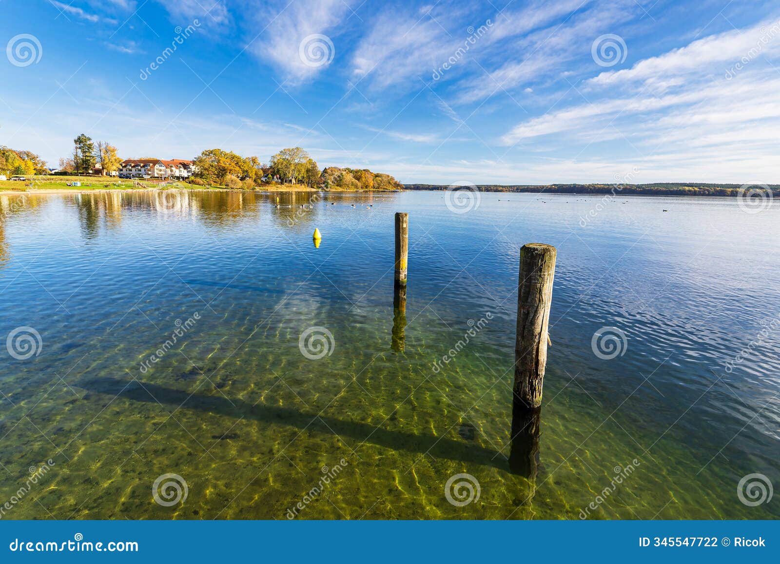 Dolphins on Lake Plauer See in the Town of Plau am See, Germany Stock ...