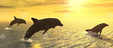 Dolphins at Sunset stock photo. Image of play, diving - 10352352