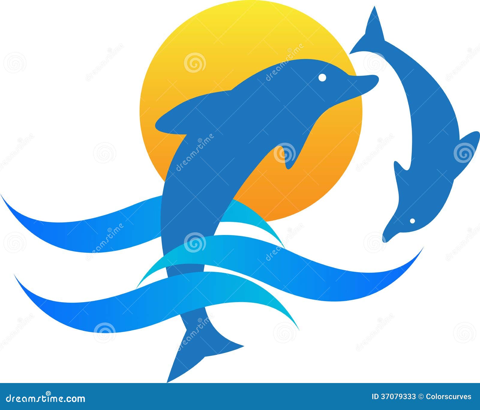 Dolphins Species Set: Short-beaked, Common Bottlenose, Atlantic Spotted ...