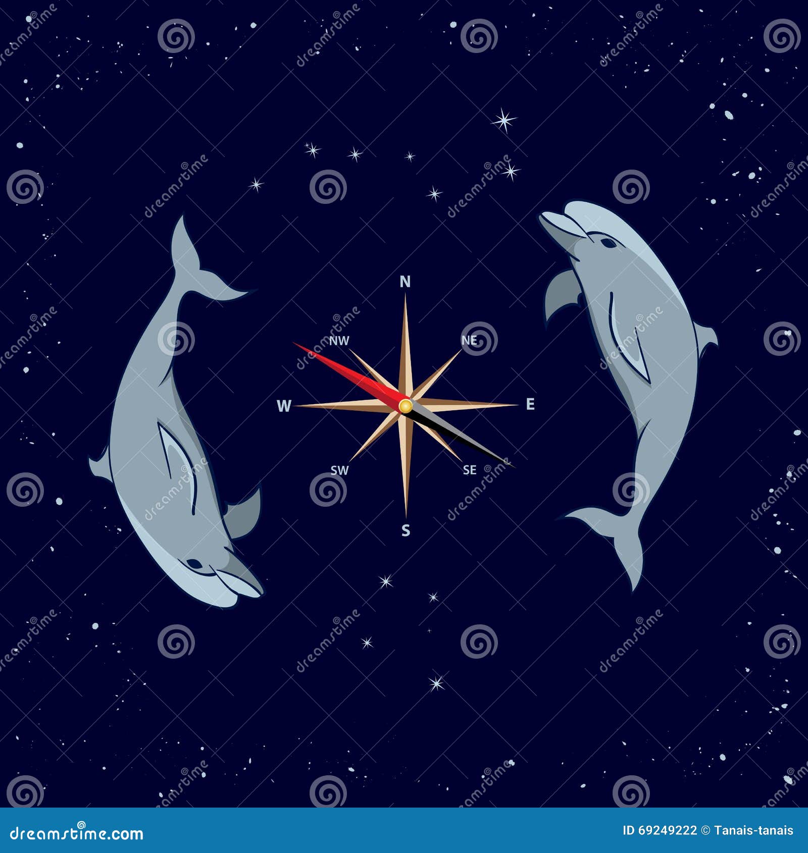 Dolphins, Windrose, Ursa Major and Southern Cross Stock Vector ...