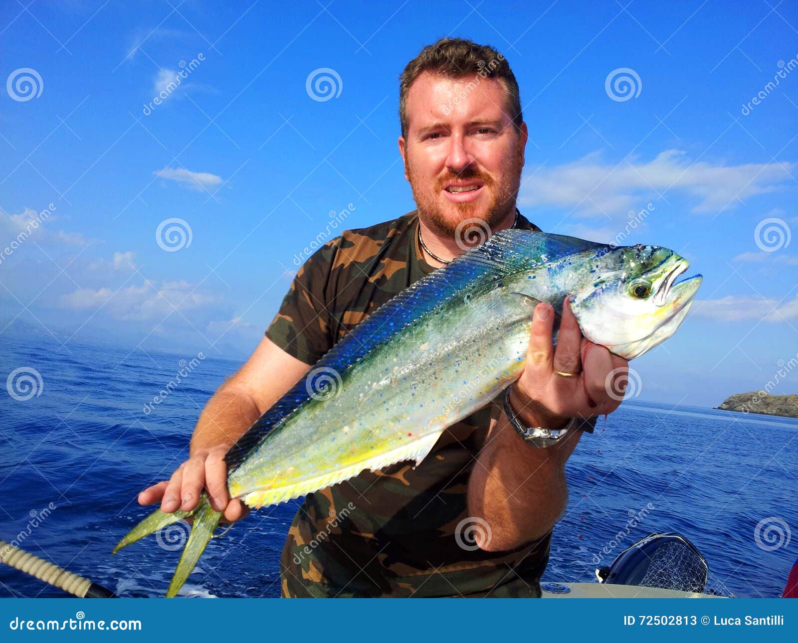 Dolphinsfish stock image. Image of water, boat, sport - 72502813