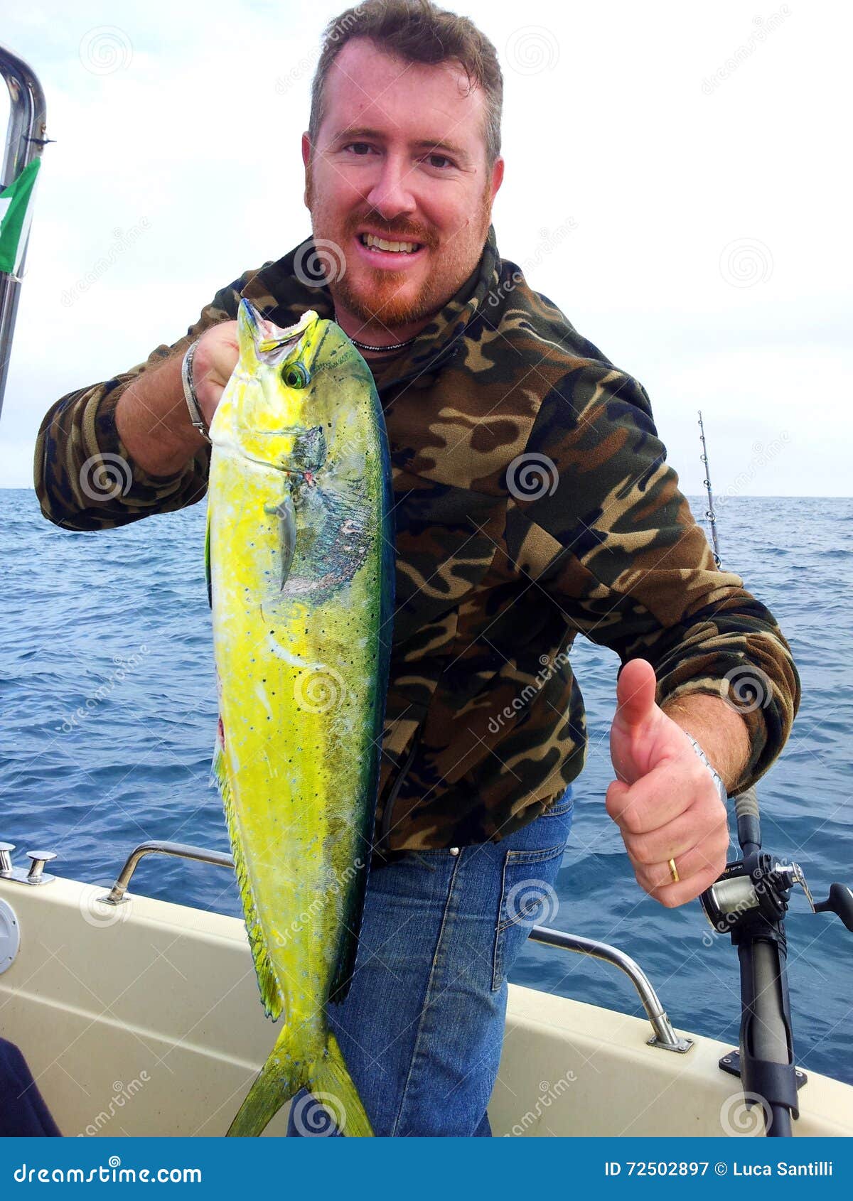 Dolphinsfish stock image. Image of pursuit, water, person - 72502897