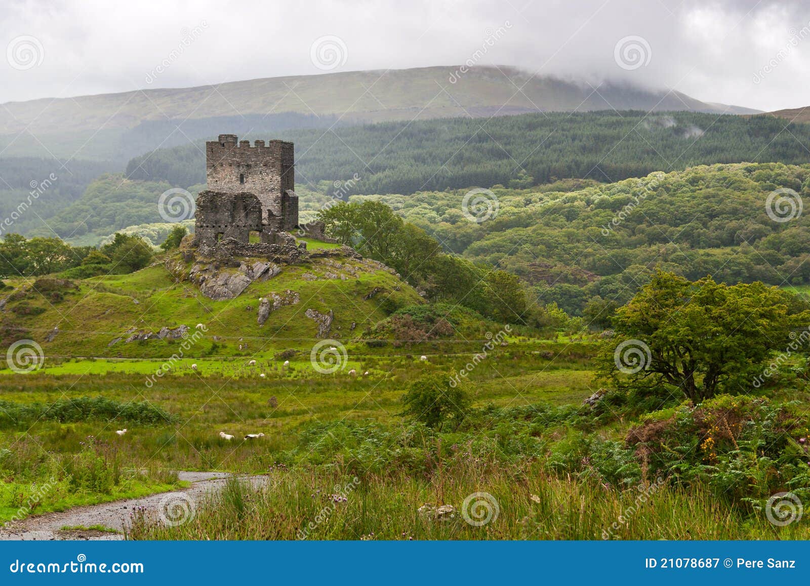 Dolwyddelan Castle in Snowdonia Stock Image - Image of dramatic, travel ...