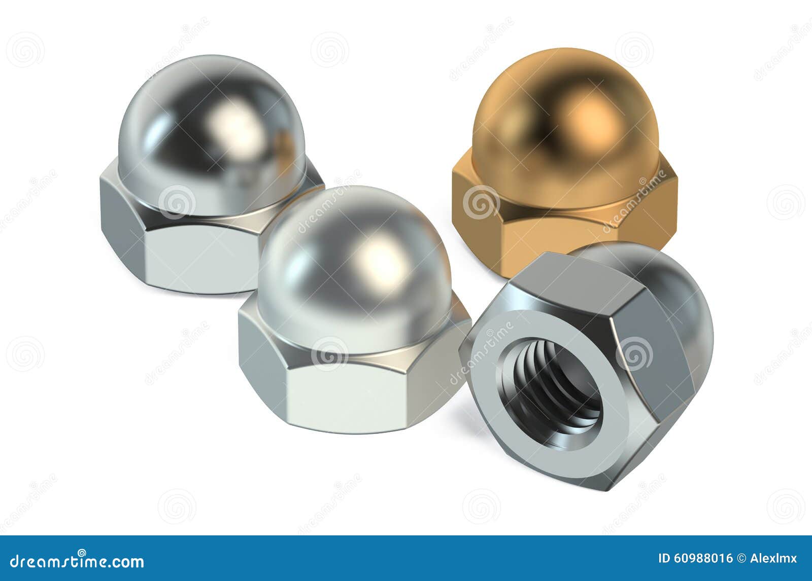 Dom-muttrar Eller Lockmuttrar Stock Illustrationer - Illustration av ...