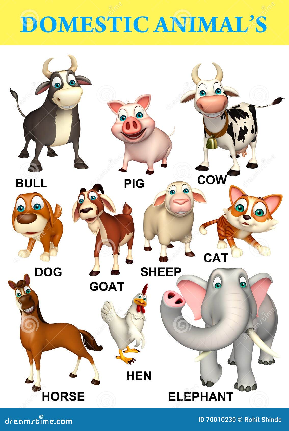 Pet Animal Chart Stock Illustration | CartoonDealer.com #70014922