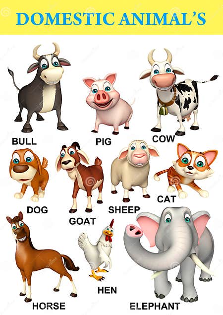 Domastic animal chart stock illustration. Illustration of funny - 70010230