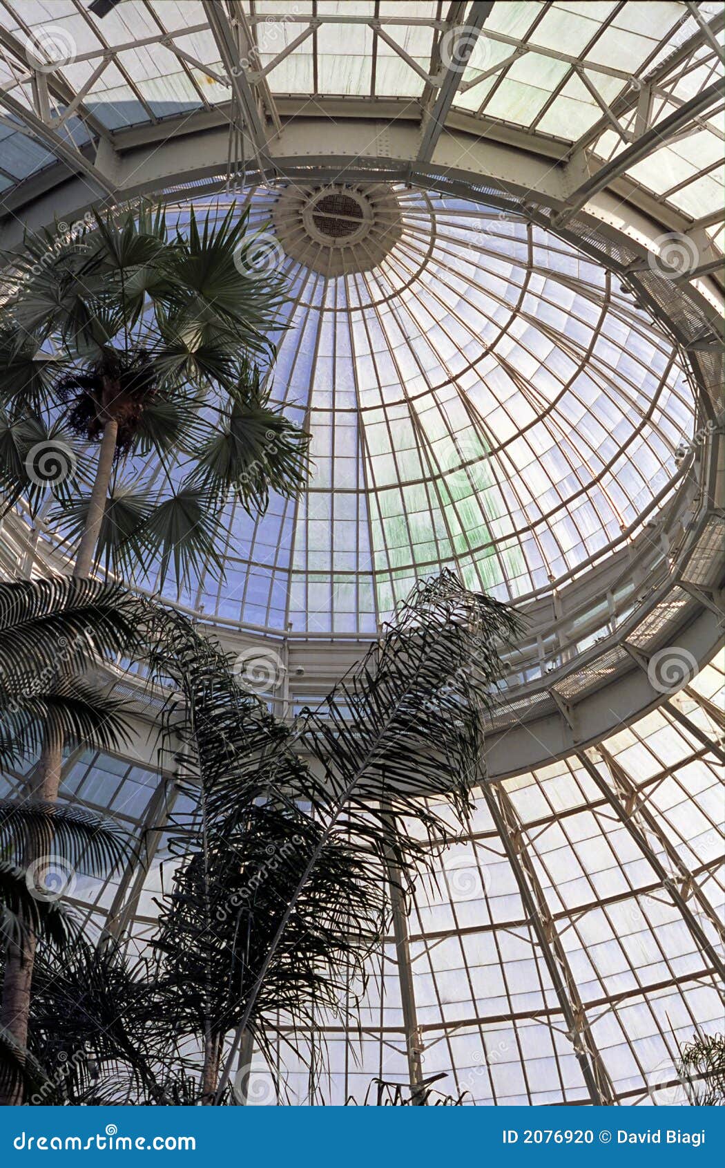 Dome @ Arboratum stock photo. Image of dome, historic - 2076920