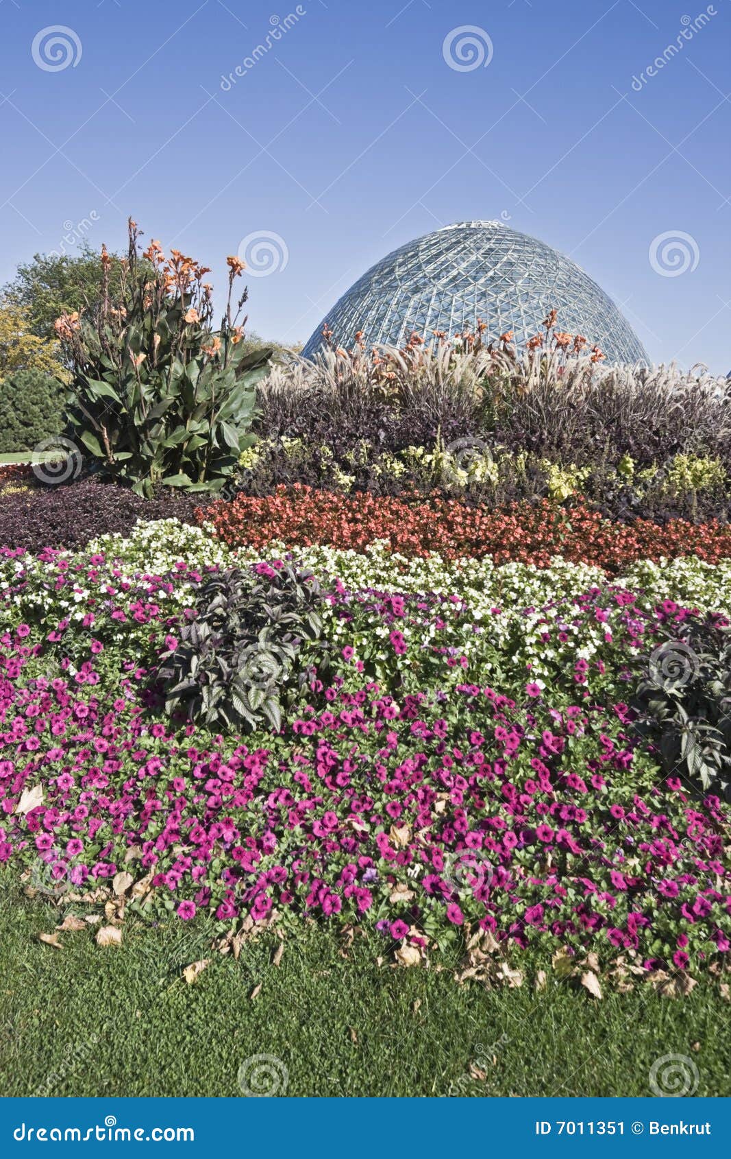 Dome of a Botanic Garden stock image. Image of futuristic - 7011351