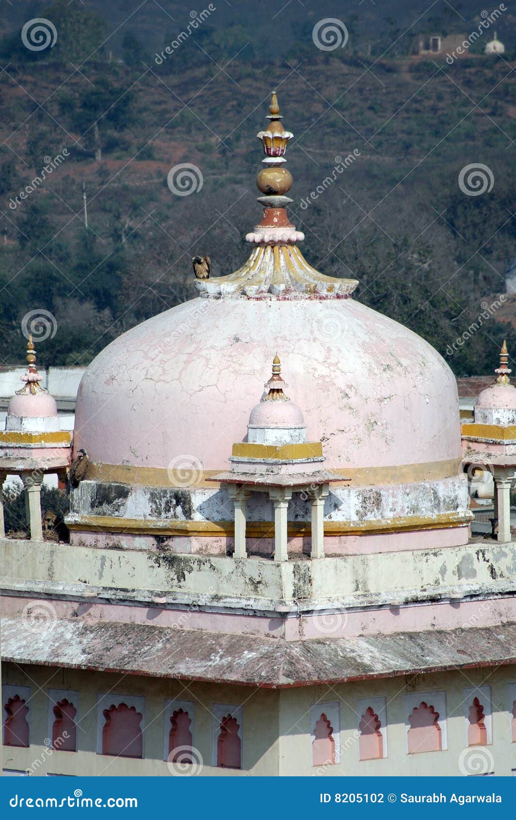 Dome of an indian temple stock photo. Image of religion - 8205102