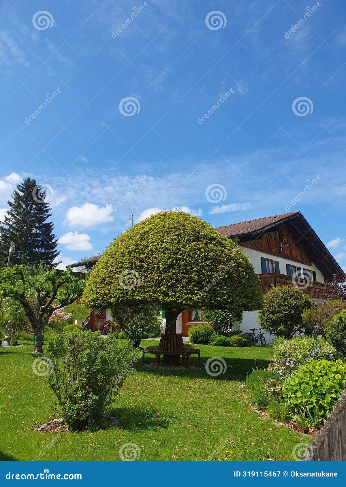 Dome Shape Green Tree in the Garden with the Bench. Stock Image - Image ...