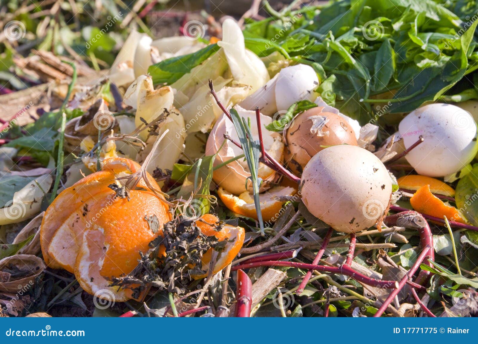 Domestic compost stock image. Image of decompose, vegetables - 17771775