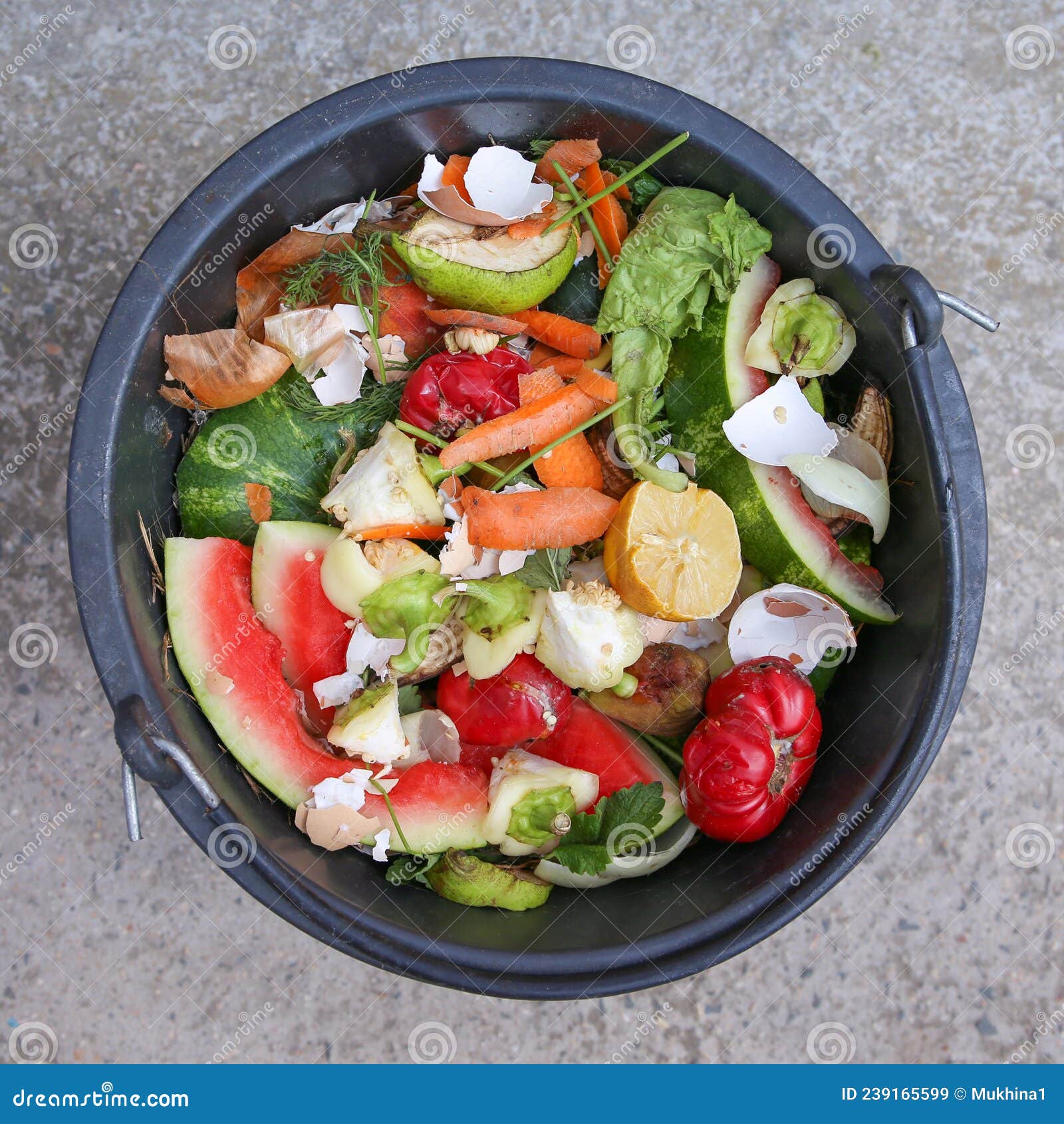 Domestic Waste for Compost from Fruits and Vegetables in the Garbage ...