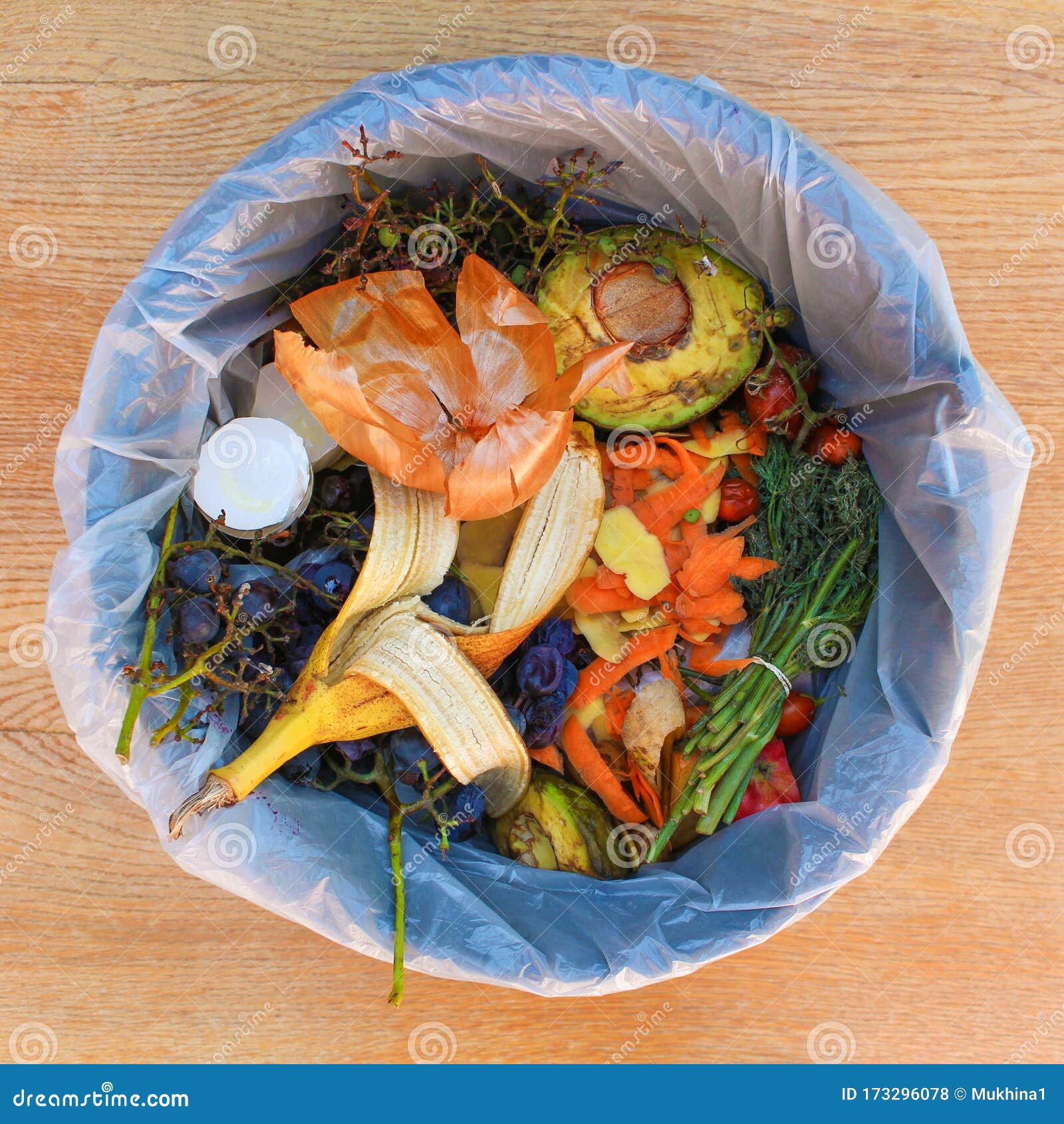 Domestic Waste for Compost from Fruits and Vegetables in Garbage Bin ...