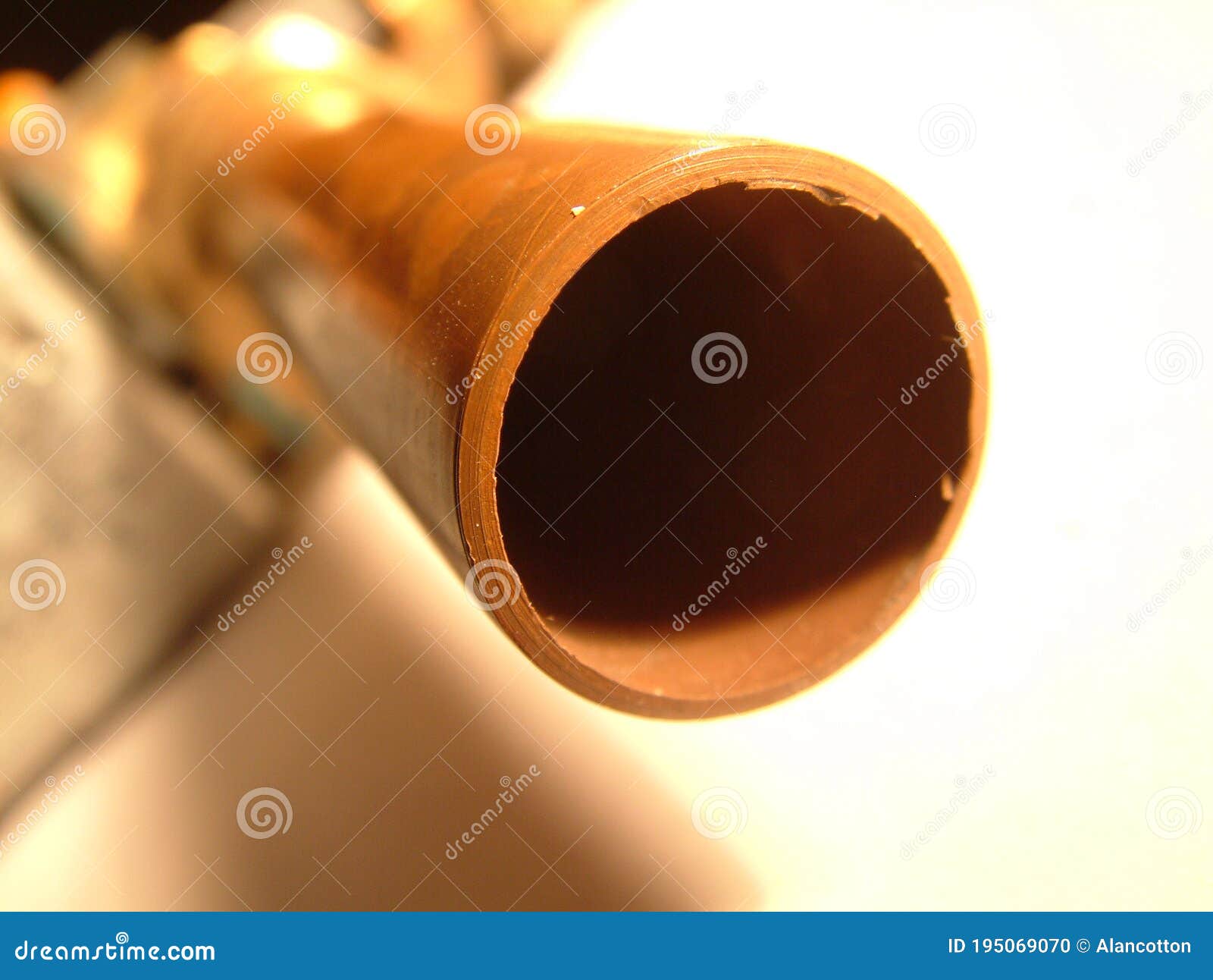 Domestic Water Buffalo. Royalty-Free Stock Photography | CartoonDealer ...