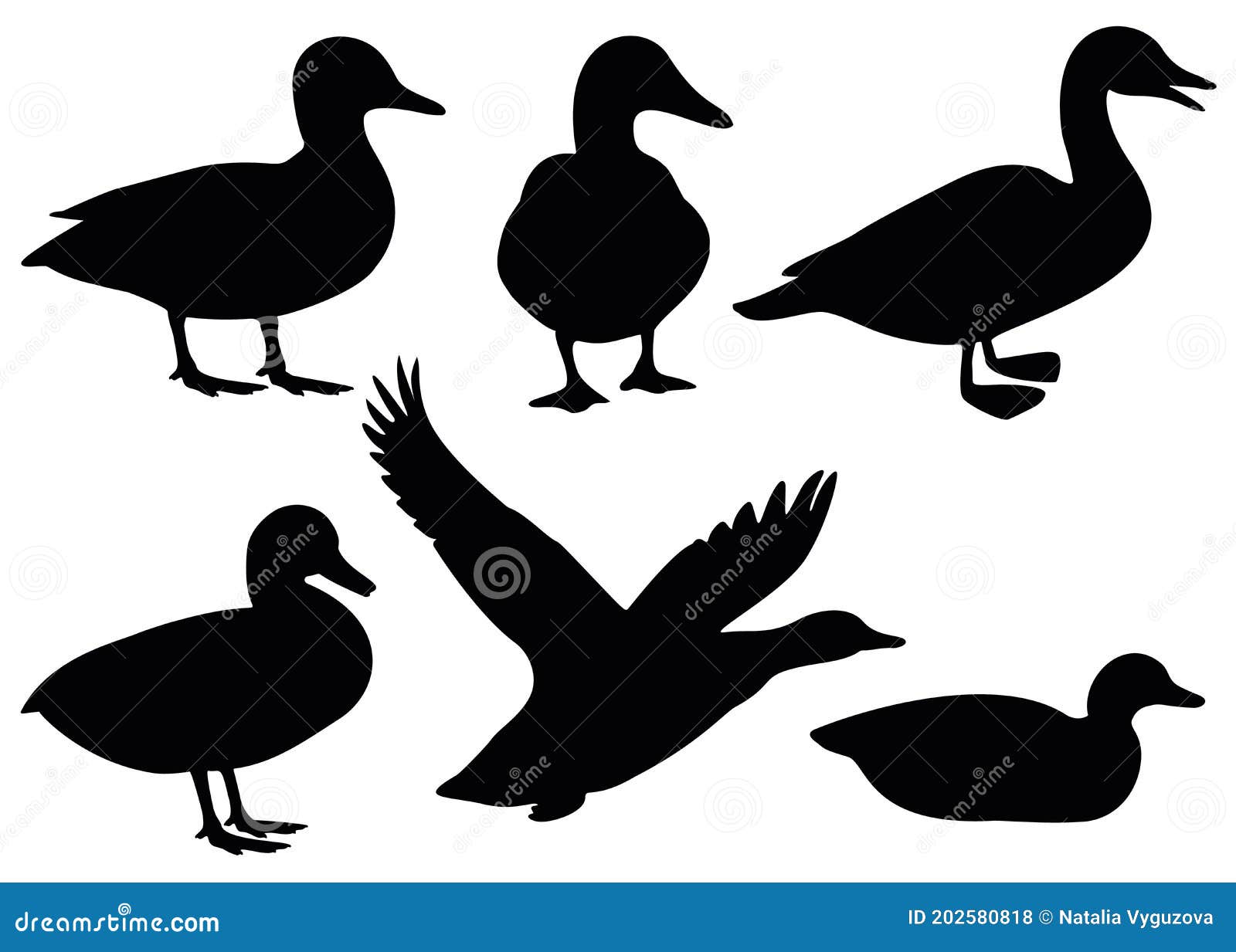 Wild Ducks Seamless Texture Cartoon Vector | CartoonDealer.com #23198275