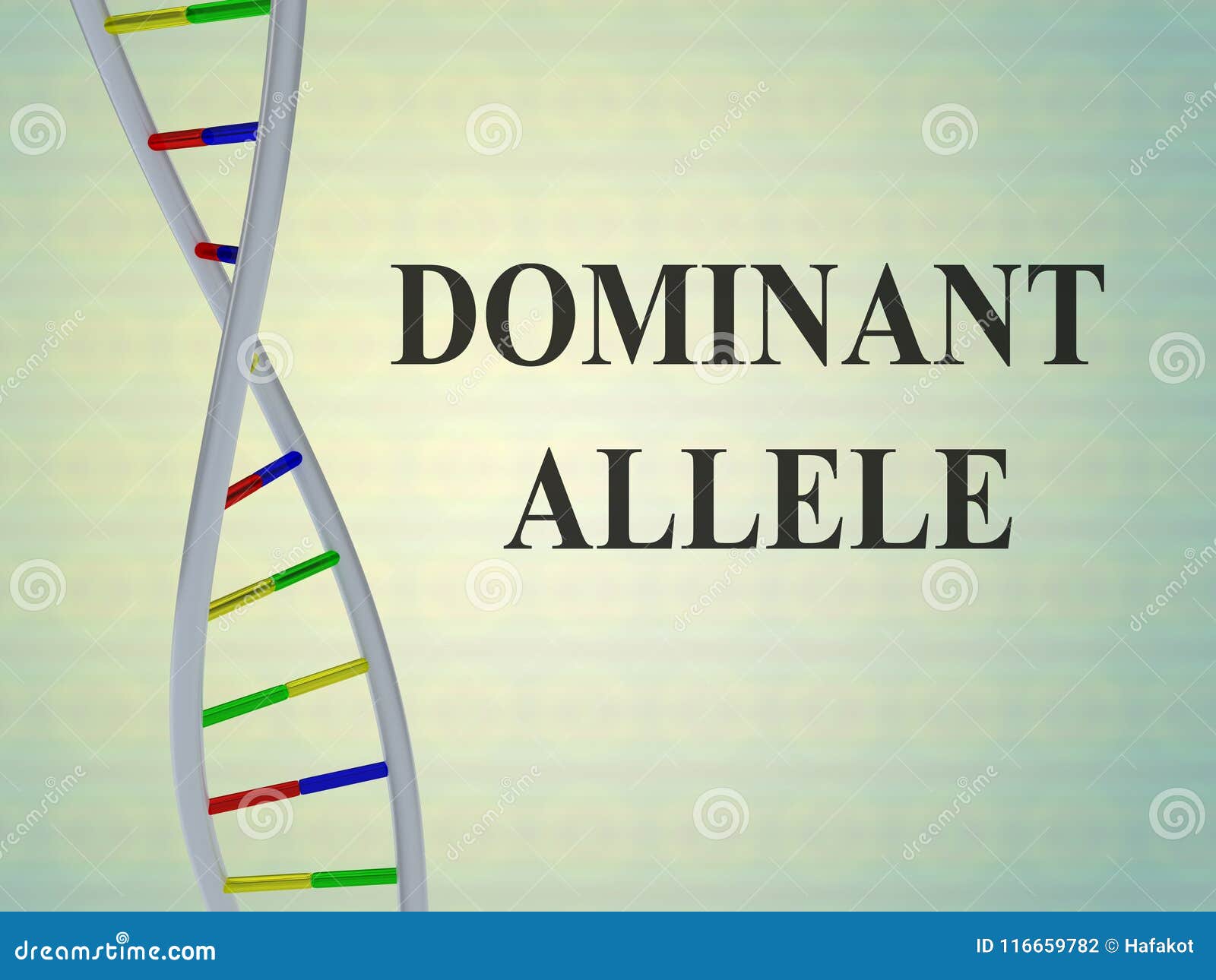 DOMINANT ALLELE - Genetic Concept Stock Illustration - Illustration of ...